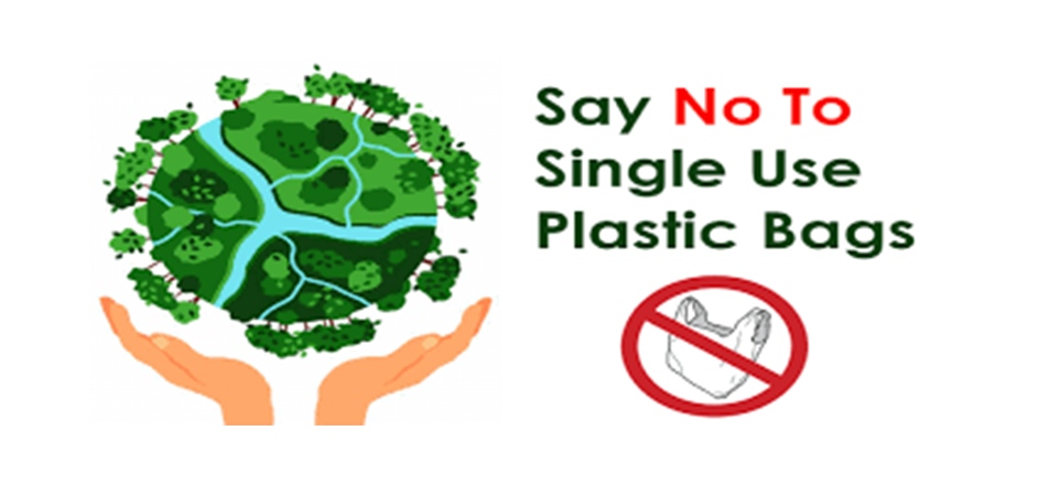 Plastic bag ban in india : A step towards sustainability-Nova